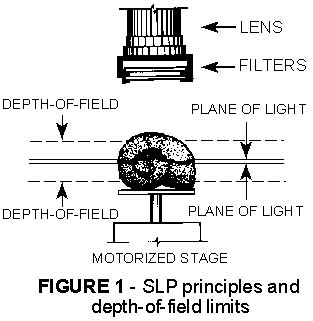 Scanning Light - Home
